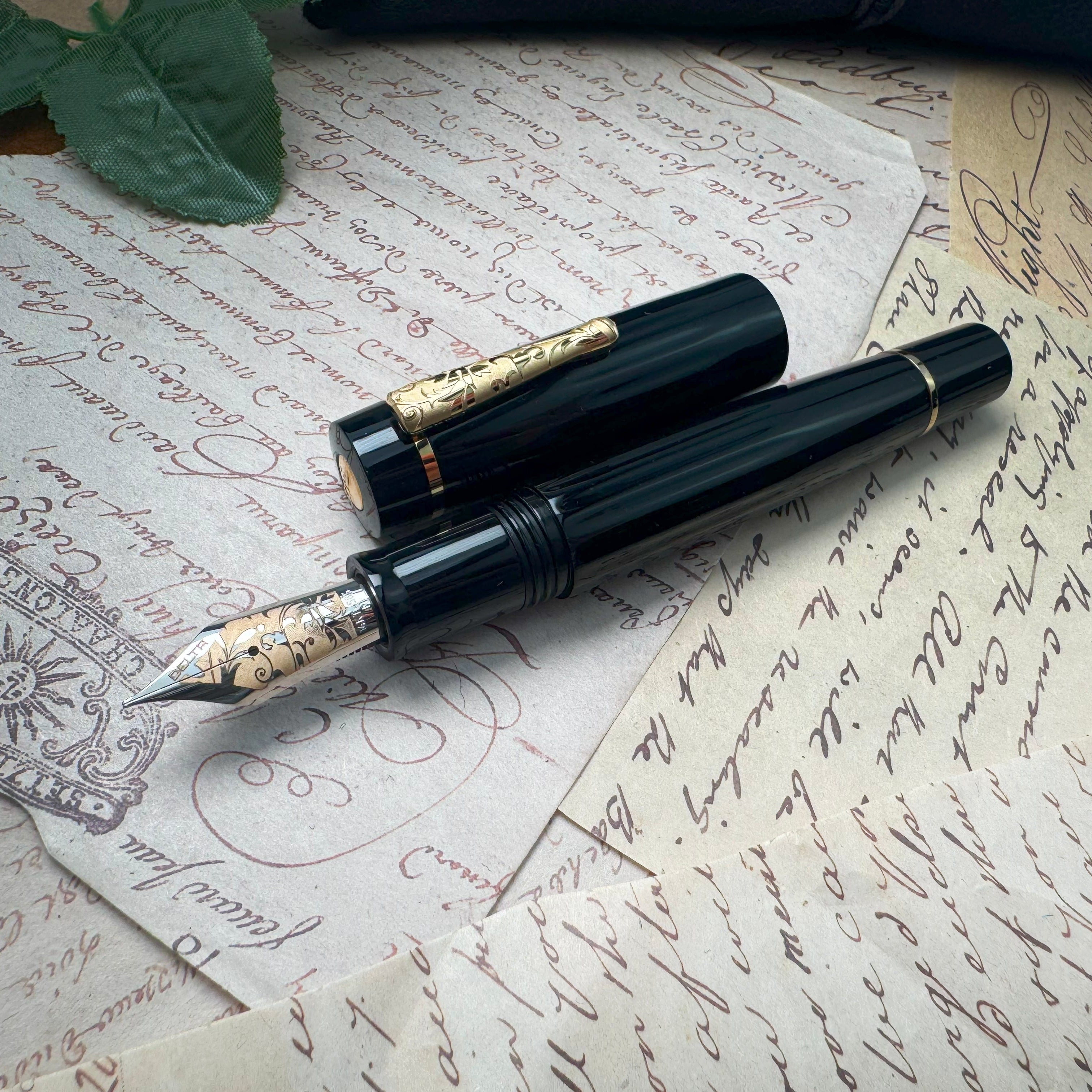 Delta Bio+16 Fountain Pen - Nera (14Kt Gold - #6 Nib) – Dromgoole's ...